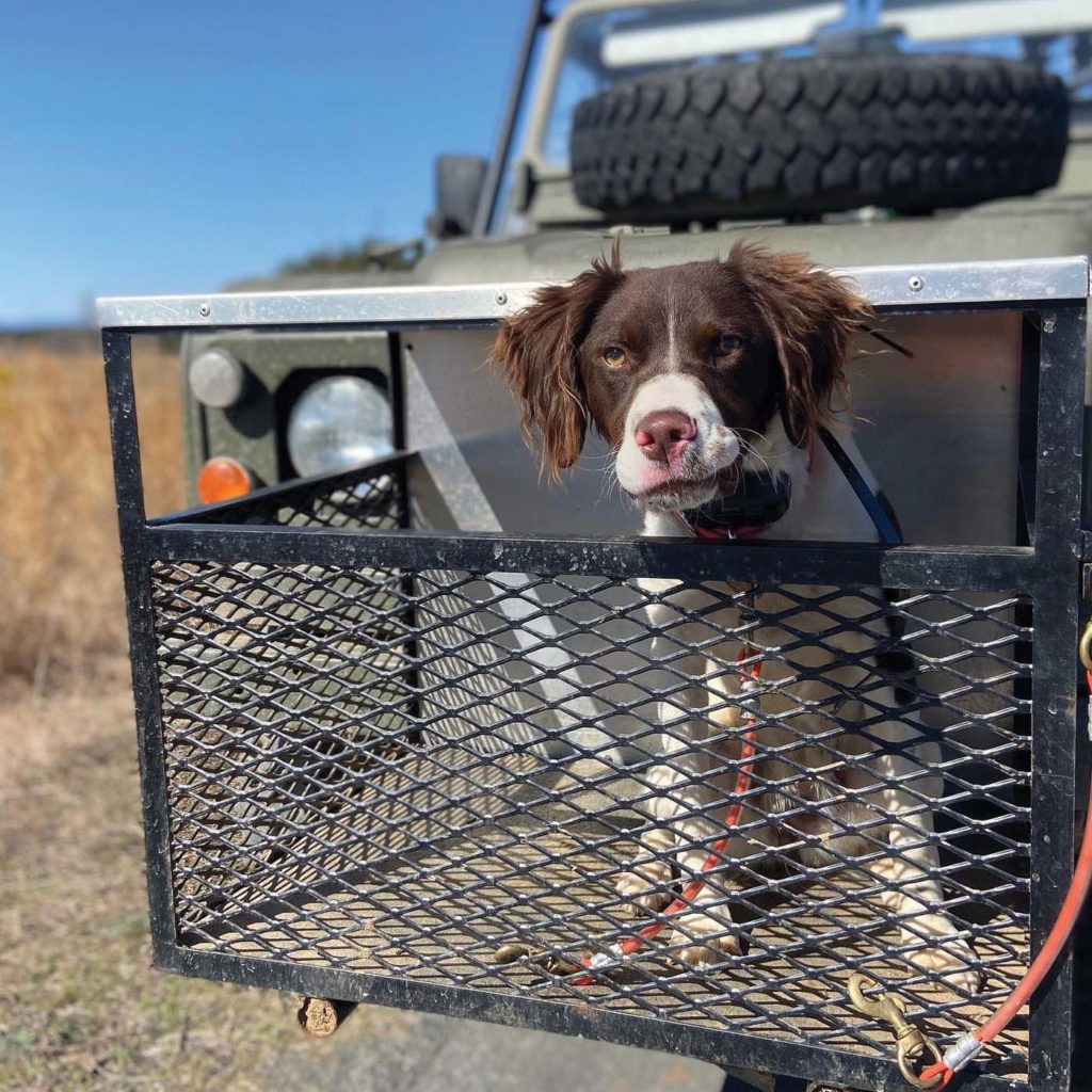 MAR 2022 - Return to Pearl's Pond - Rovers Magazine