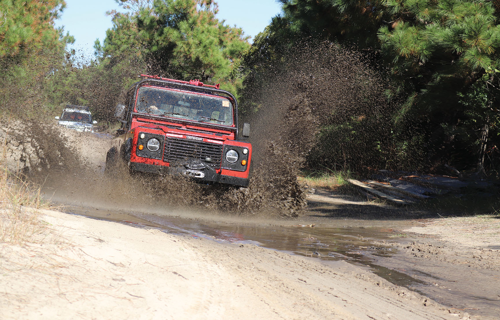 Wild Rides and Wild Horses - Rovers Magazine